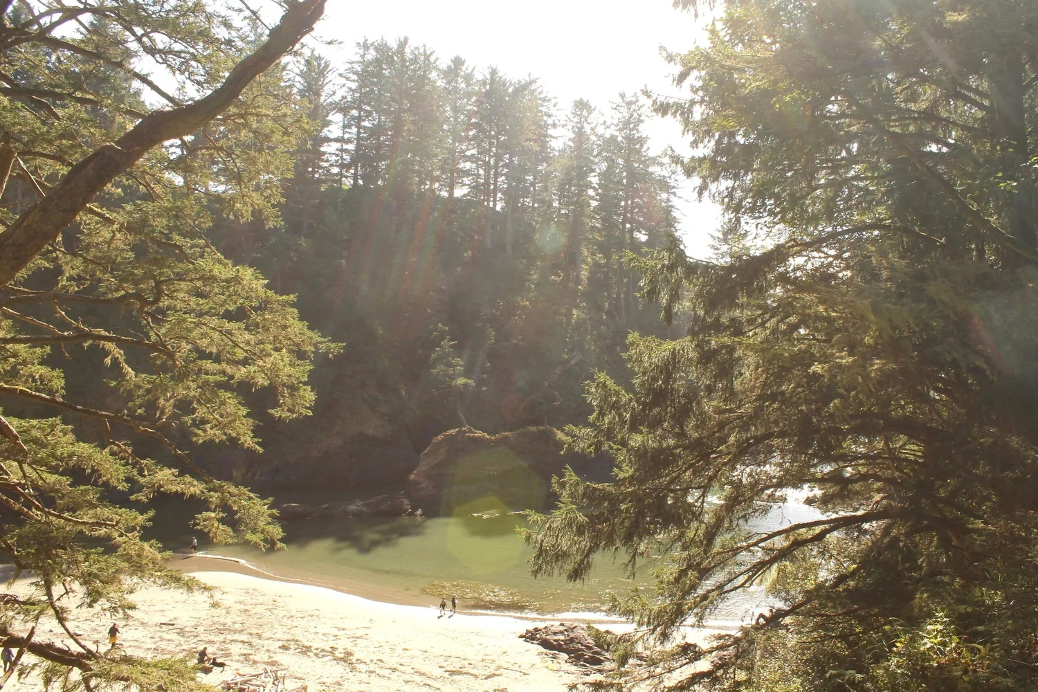 16 Fun Things to Do in Long Beach, WA — Pines and Vines — Pines and Vines