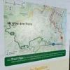 Portland’s 4T Trail, Step by Step — Pines and Vines