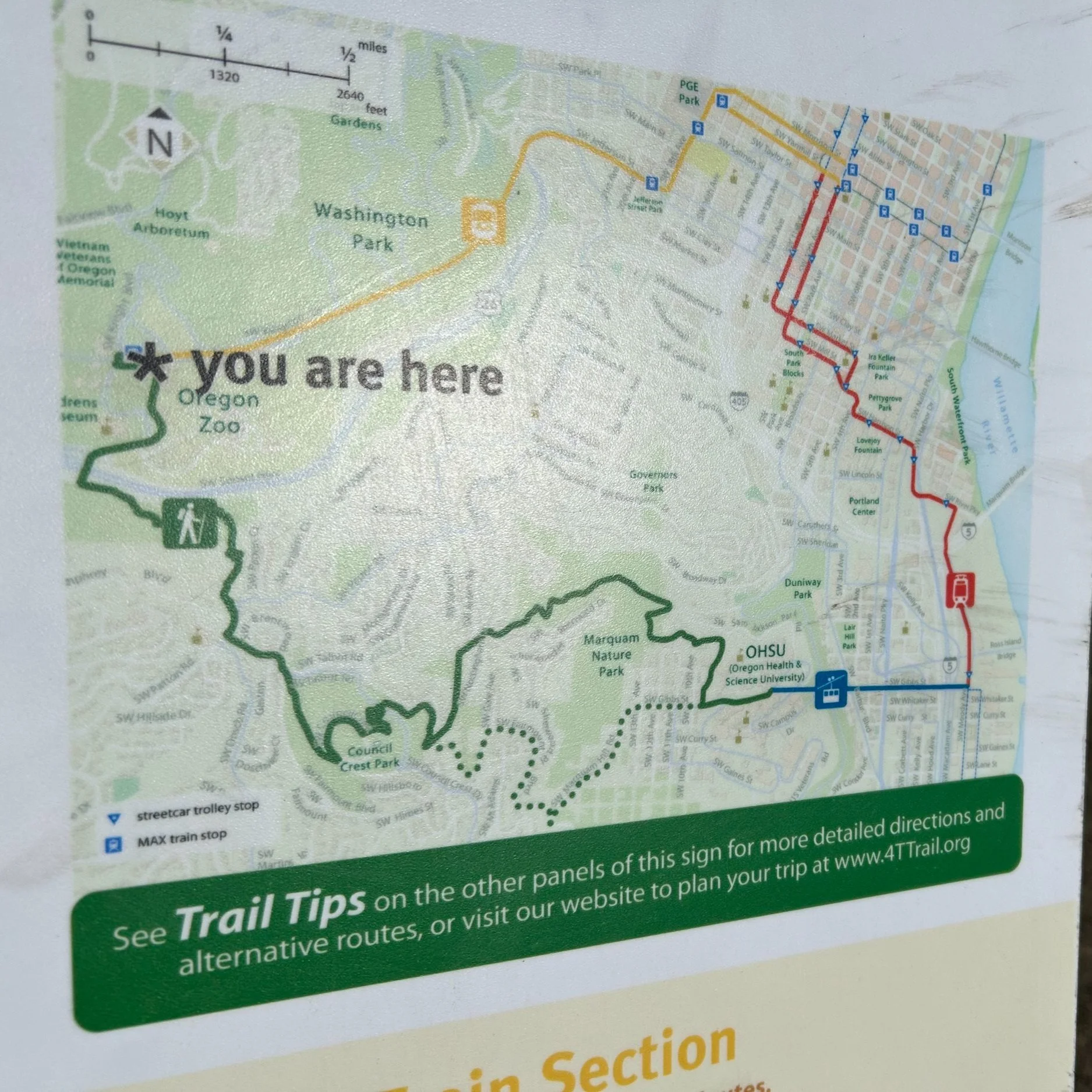 Portland’s 4T Trail, Step by Step — Pines and Vines