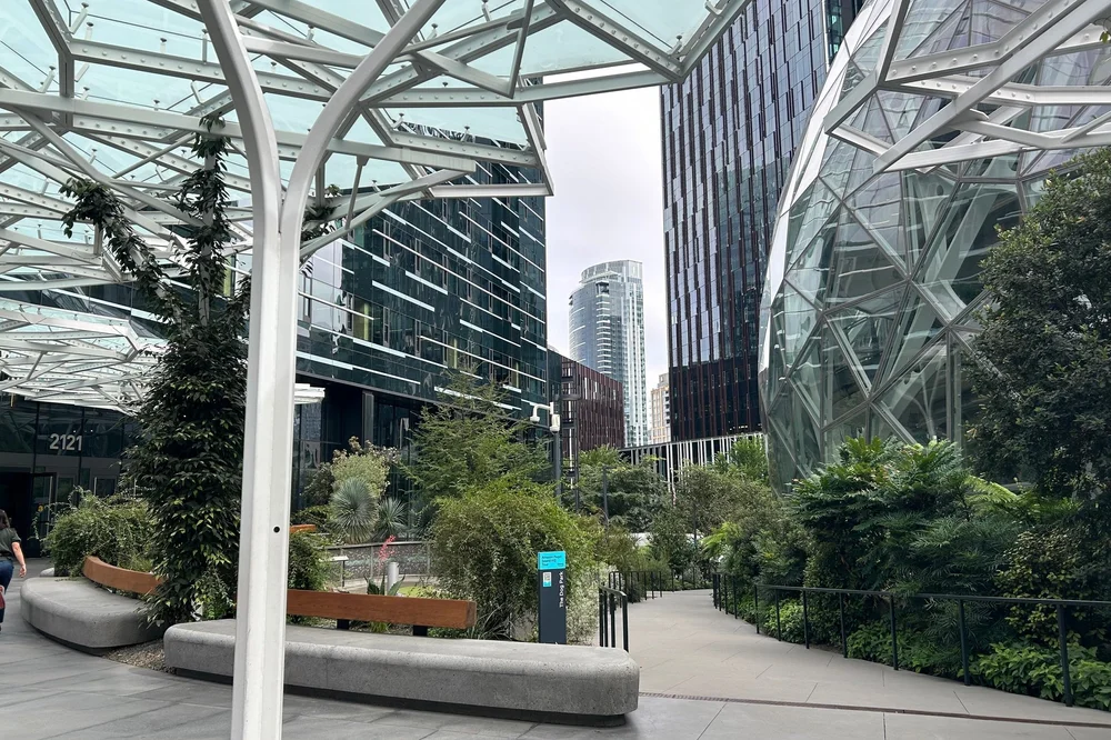 Quick Guide to the Seattle Spheres — Pines and Vines