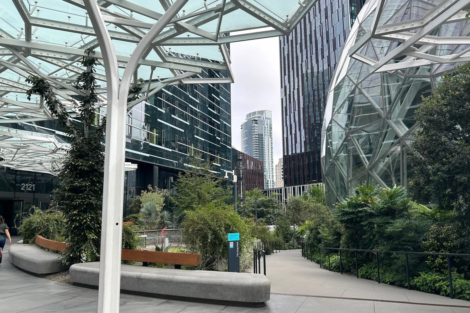 Quick Guide to the Seattle Spheres — Pines and Vines