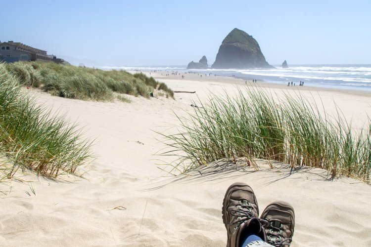 Cannon Beach Perfect 1-Day Itinerary — Pines and Vines