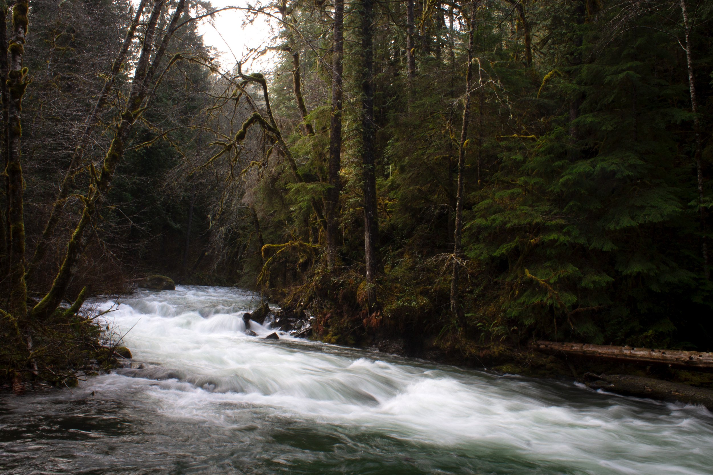 Hike to Falls View Canyon — Pines and Vines