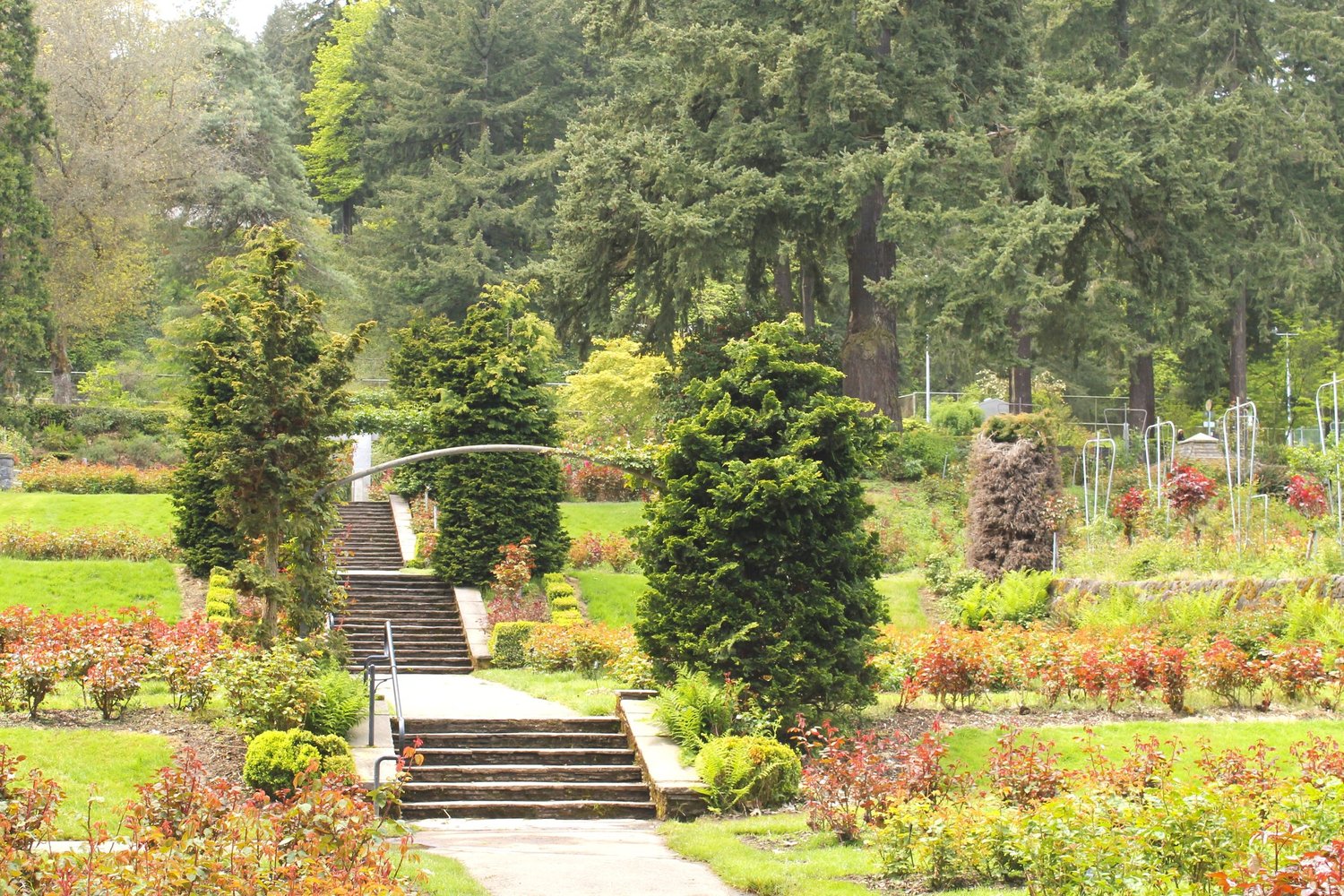 Best 10 Hikes Within 1 Hour of Portland — Pines and Vines — Pines and Vines