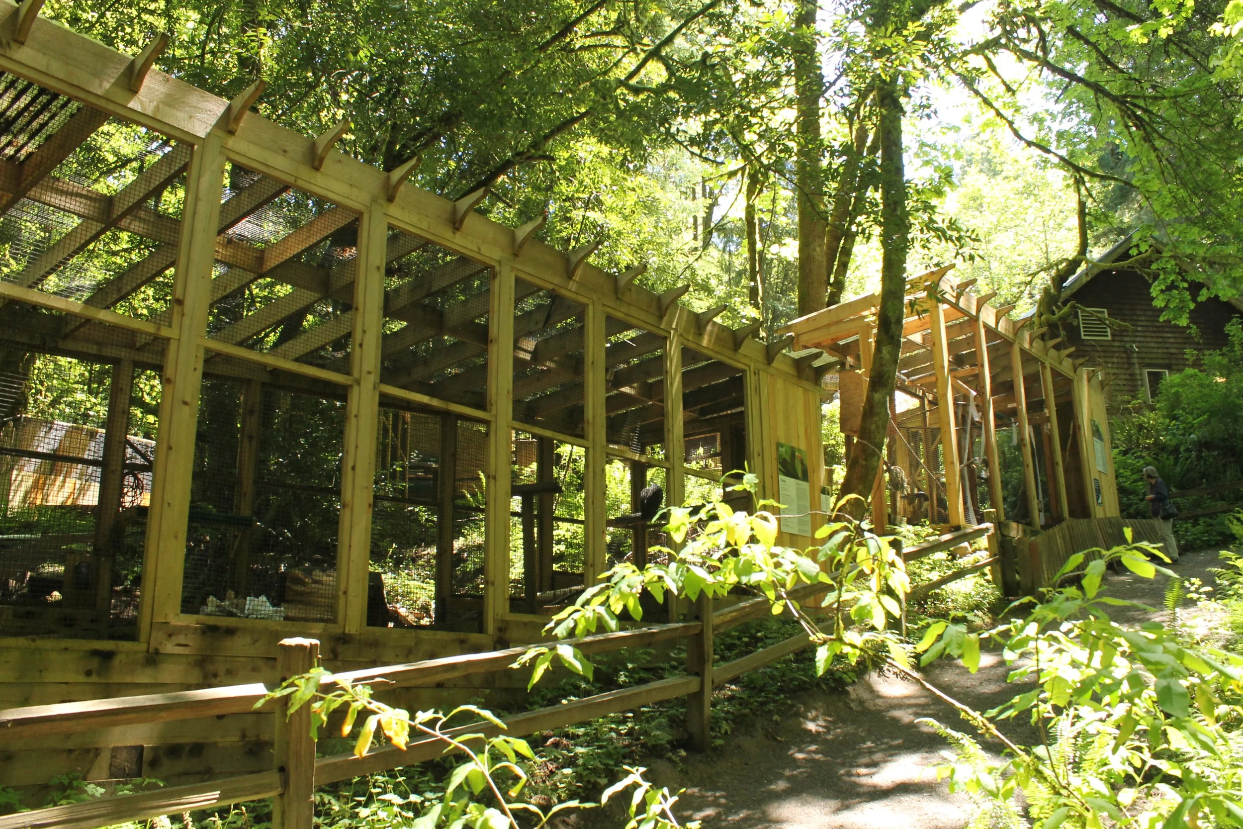 35 Fun Free Things to Do in Portland — Pines and Vines