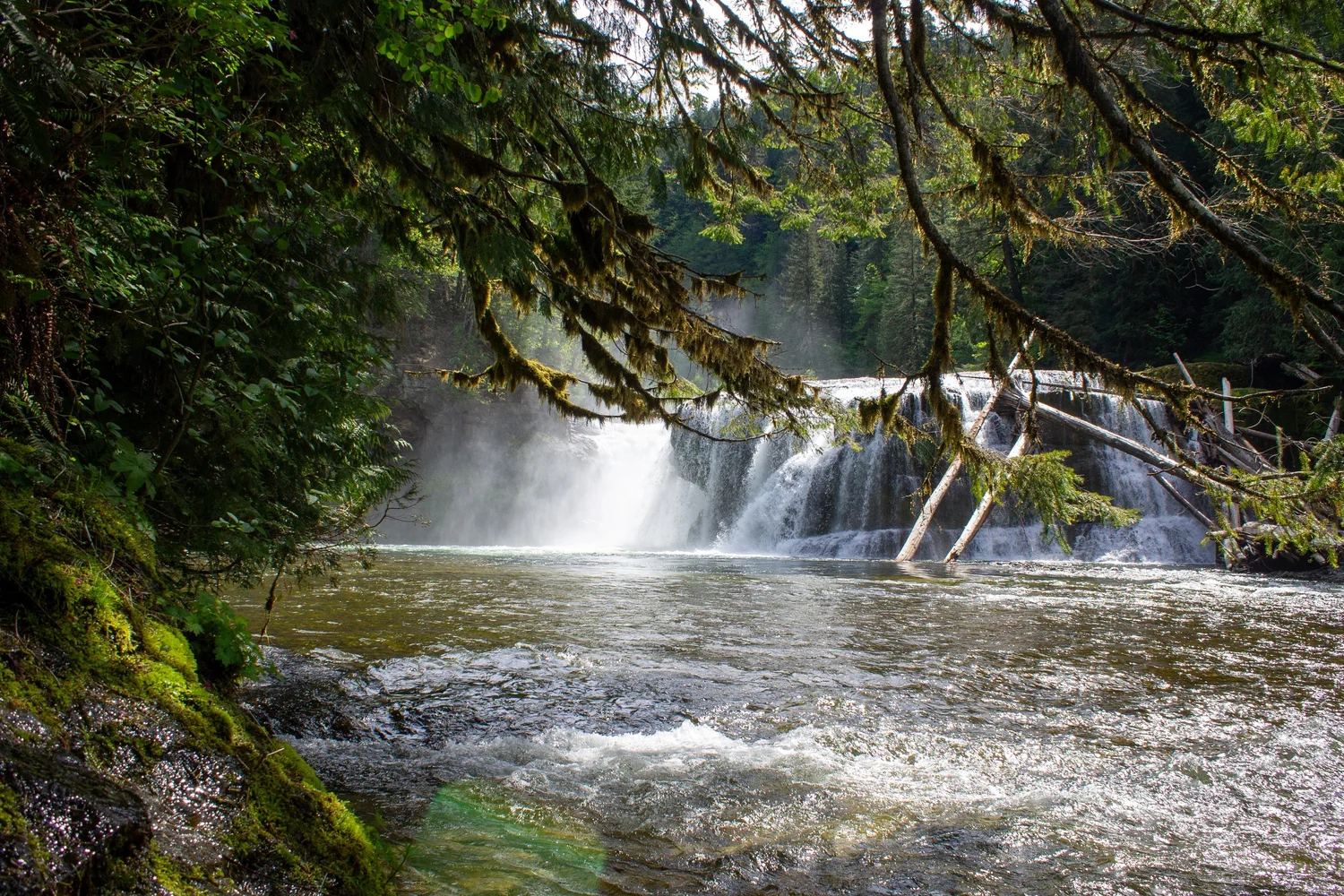 The Lewis River’s Magnificent Waterfalls — Pines and Vines