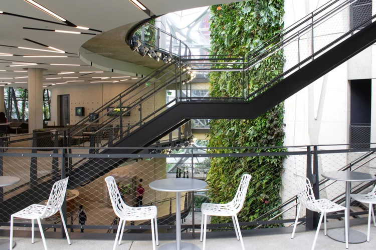 Quick Guide to the Seattle Spheres — Pines and Vines