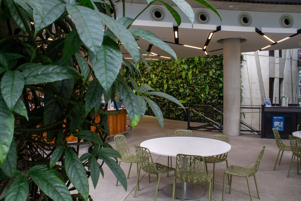 Quick Guide to the Seattle Spheres — Pines and Vines