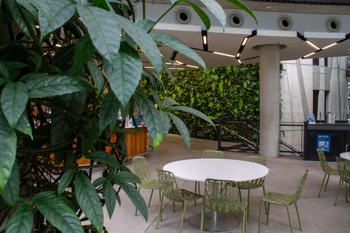 Quick Guide to the Seattle Spheres — Pines and Vines