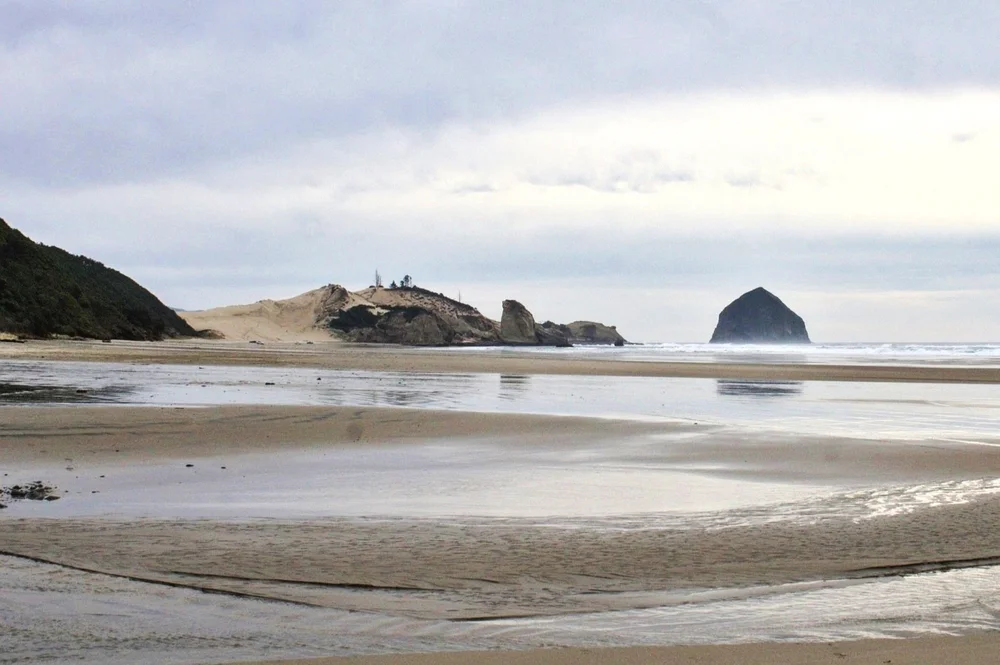 The Amazing Rocks of McPhillips Beach — Pines and Vines — Pines and Vines