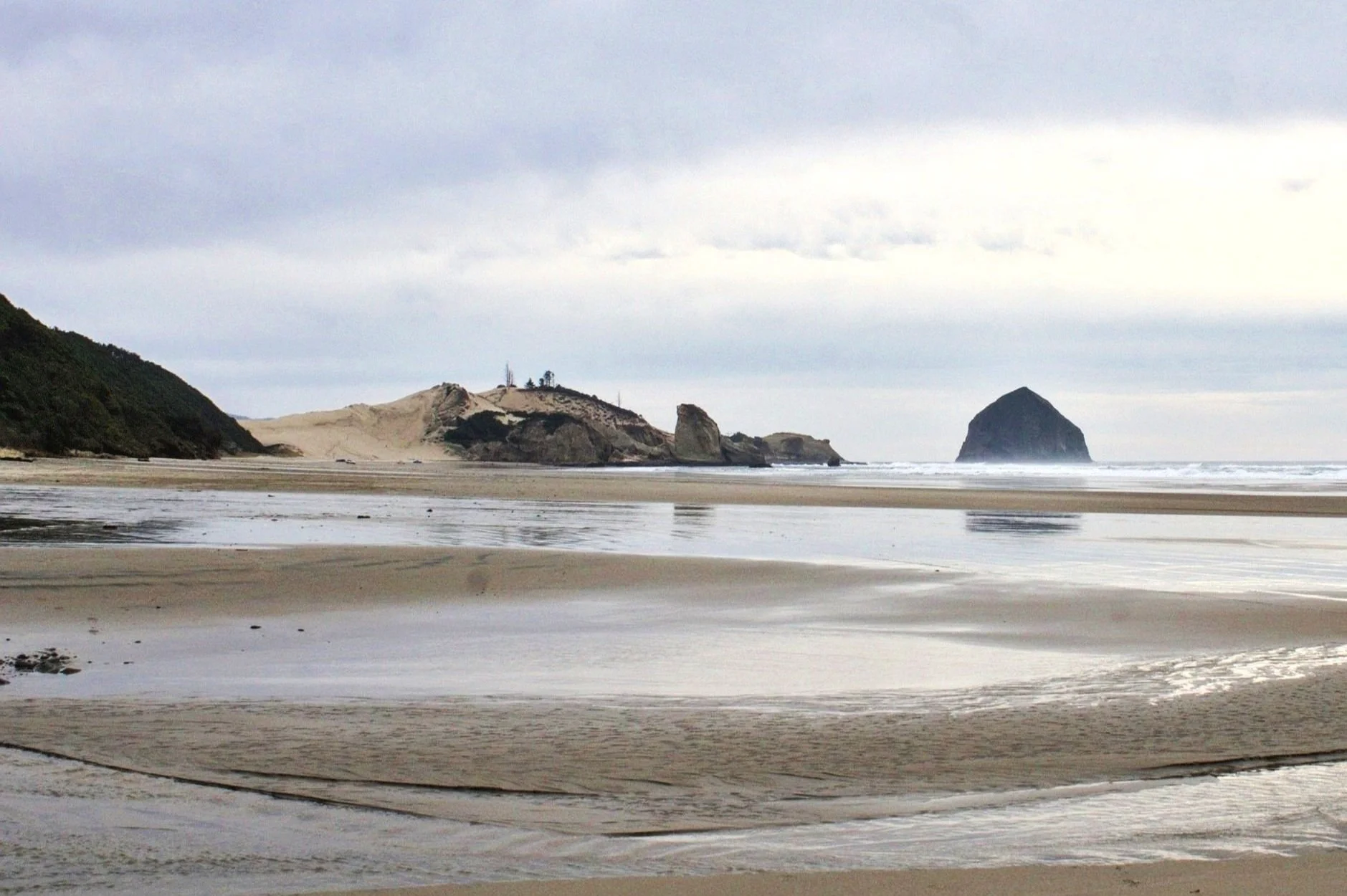 The Amazing Rocks of McPhillips Beach — Pines and Vines — Pines and Vines