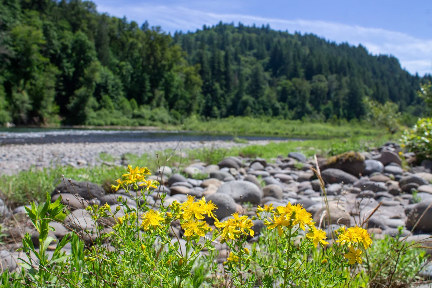 7 Fun Things to Do at Oxbow Regional Park — Pines and Vines