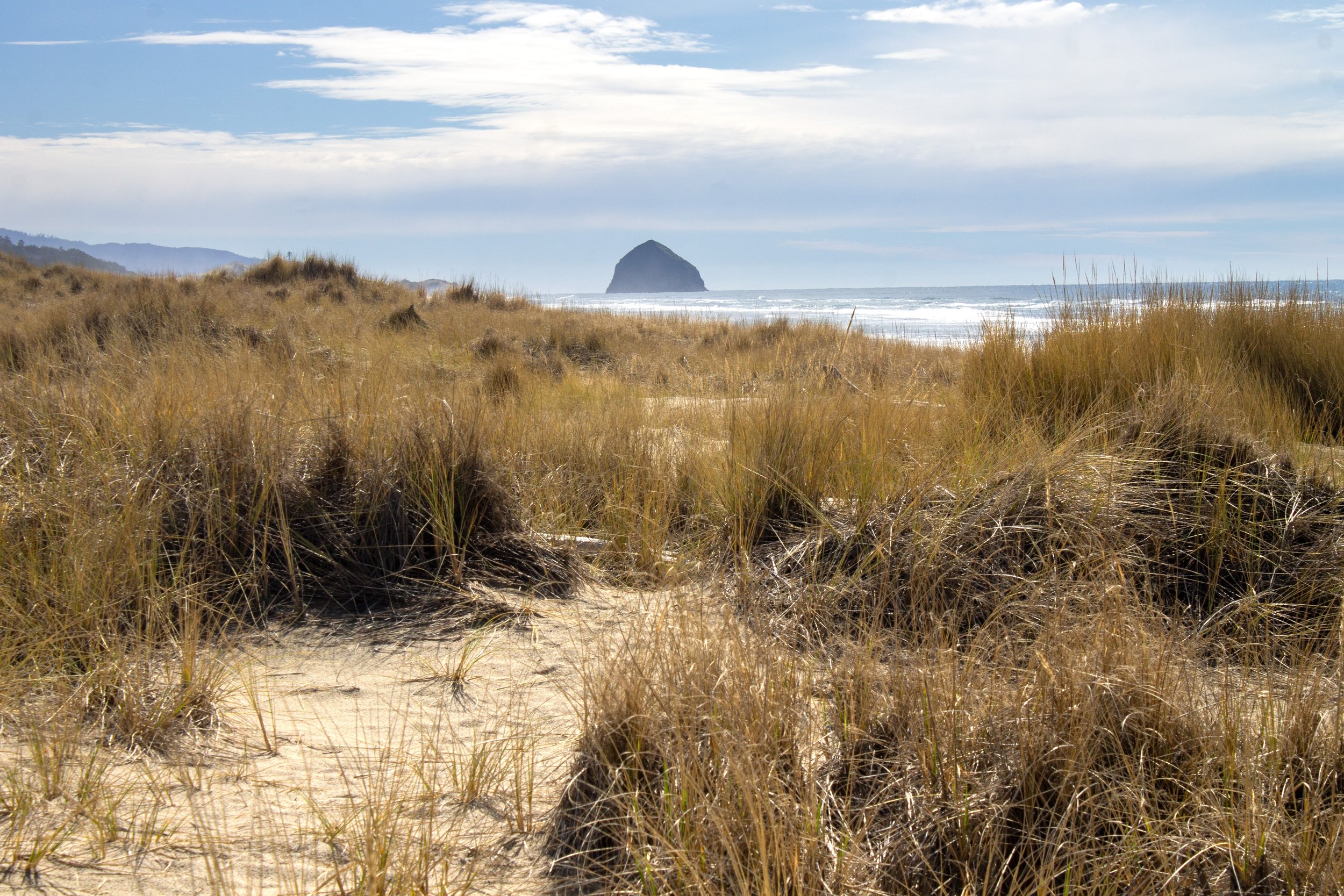 Sitka Sedge State Natural Area Hiking Guide — Pines and Vines