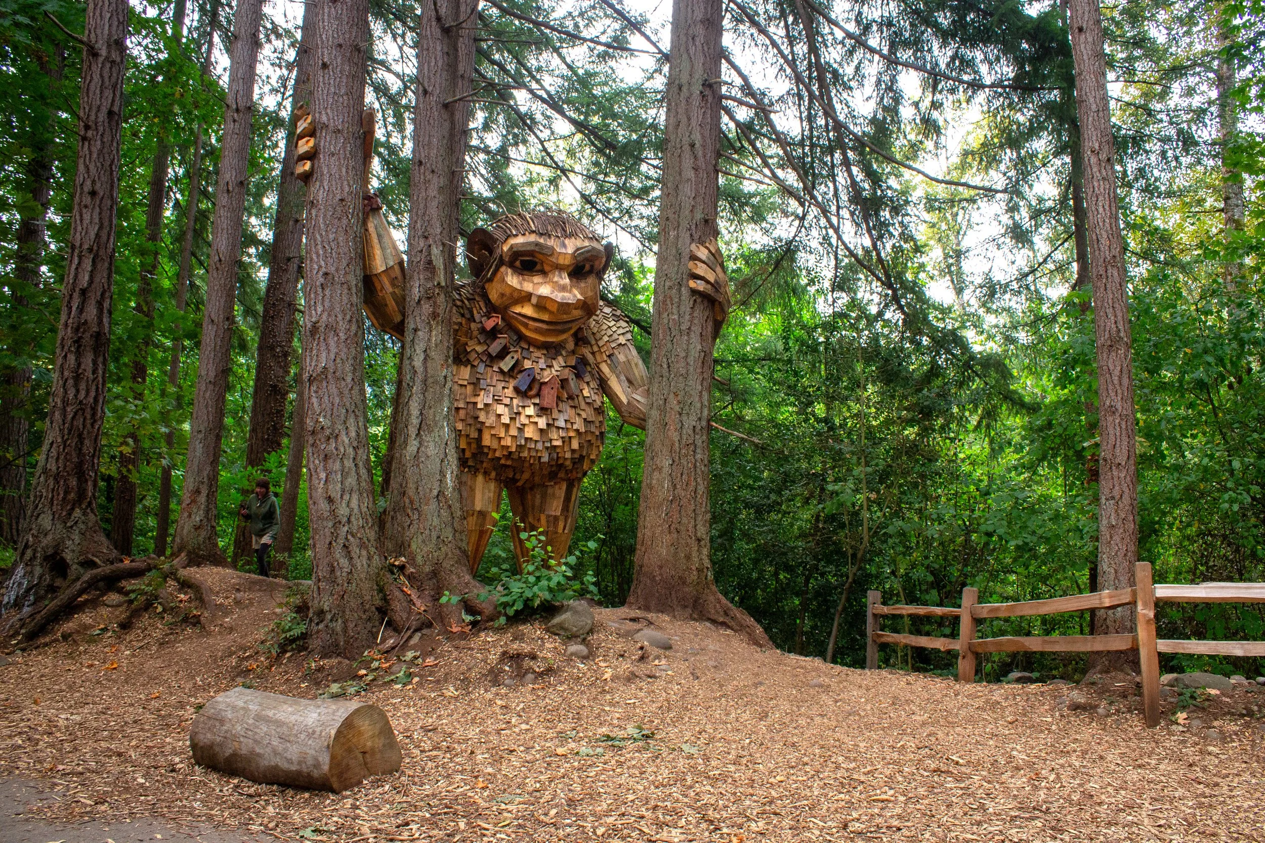 How to See Issaquah’s Giant Troll — Pines and Vines
