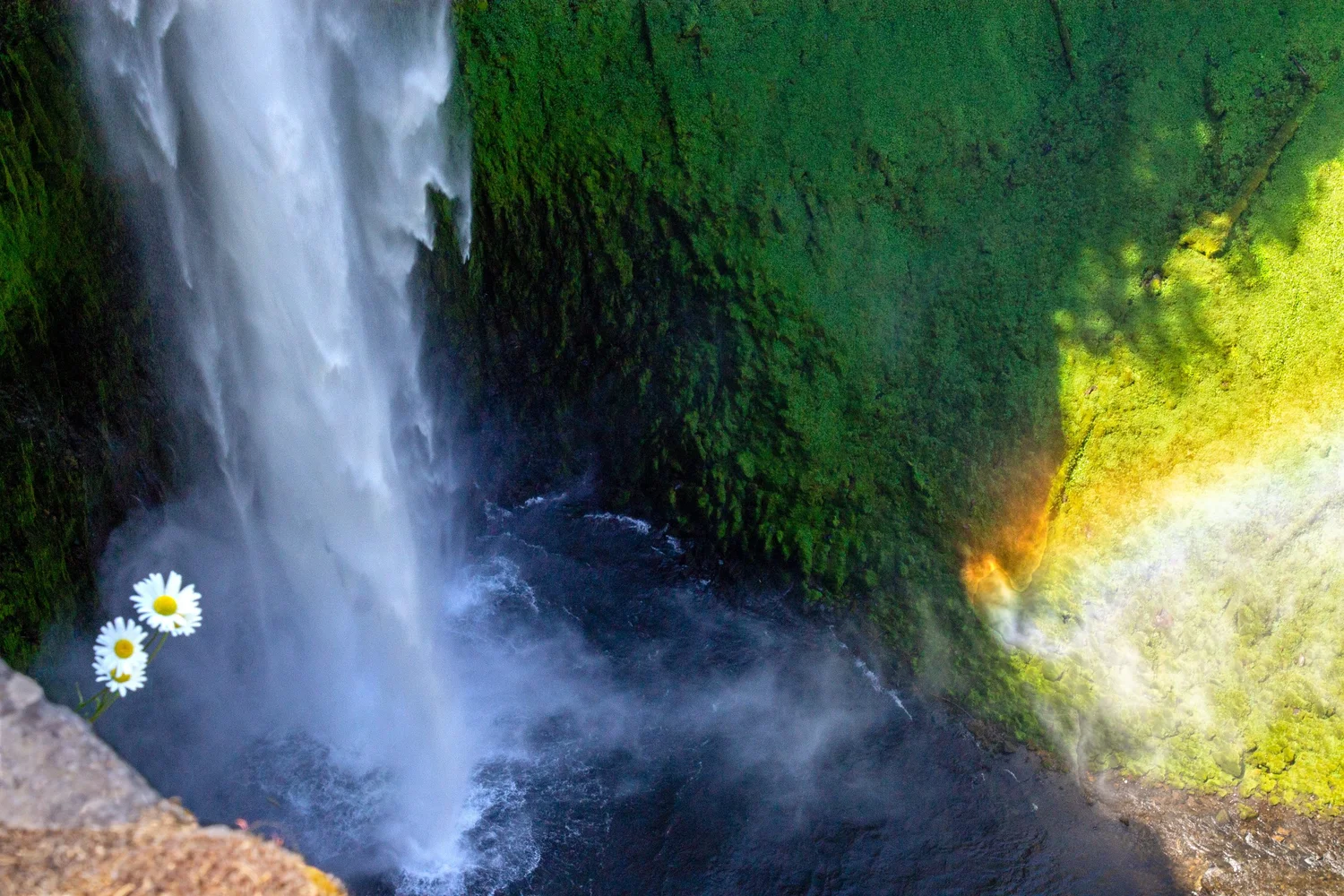 Salt Creek Falls and Diamond Creek Falls — Pines and Vines