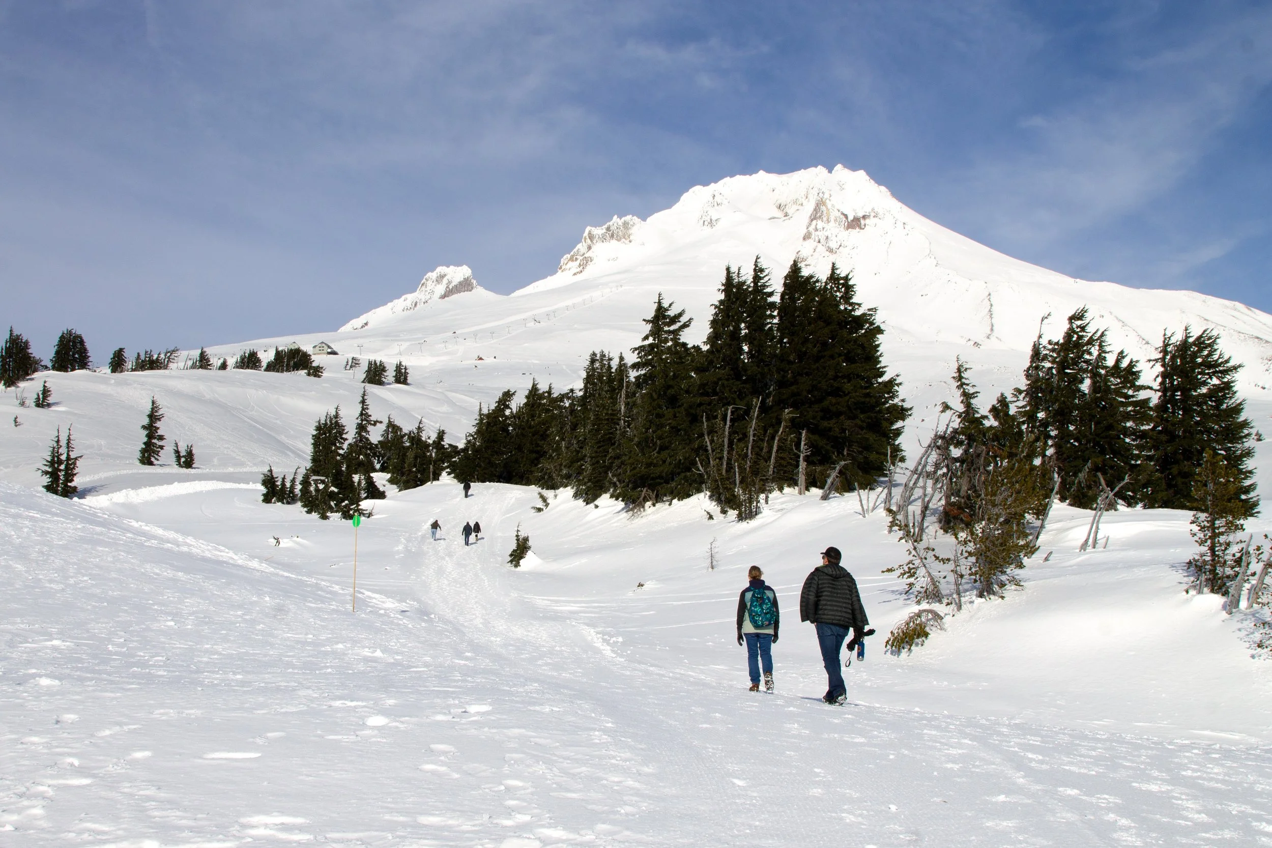 How to Snowshoe at Timberline Lodge — Pines and Vines