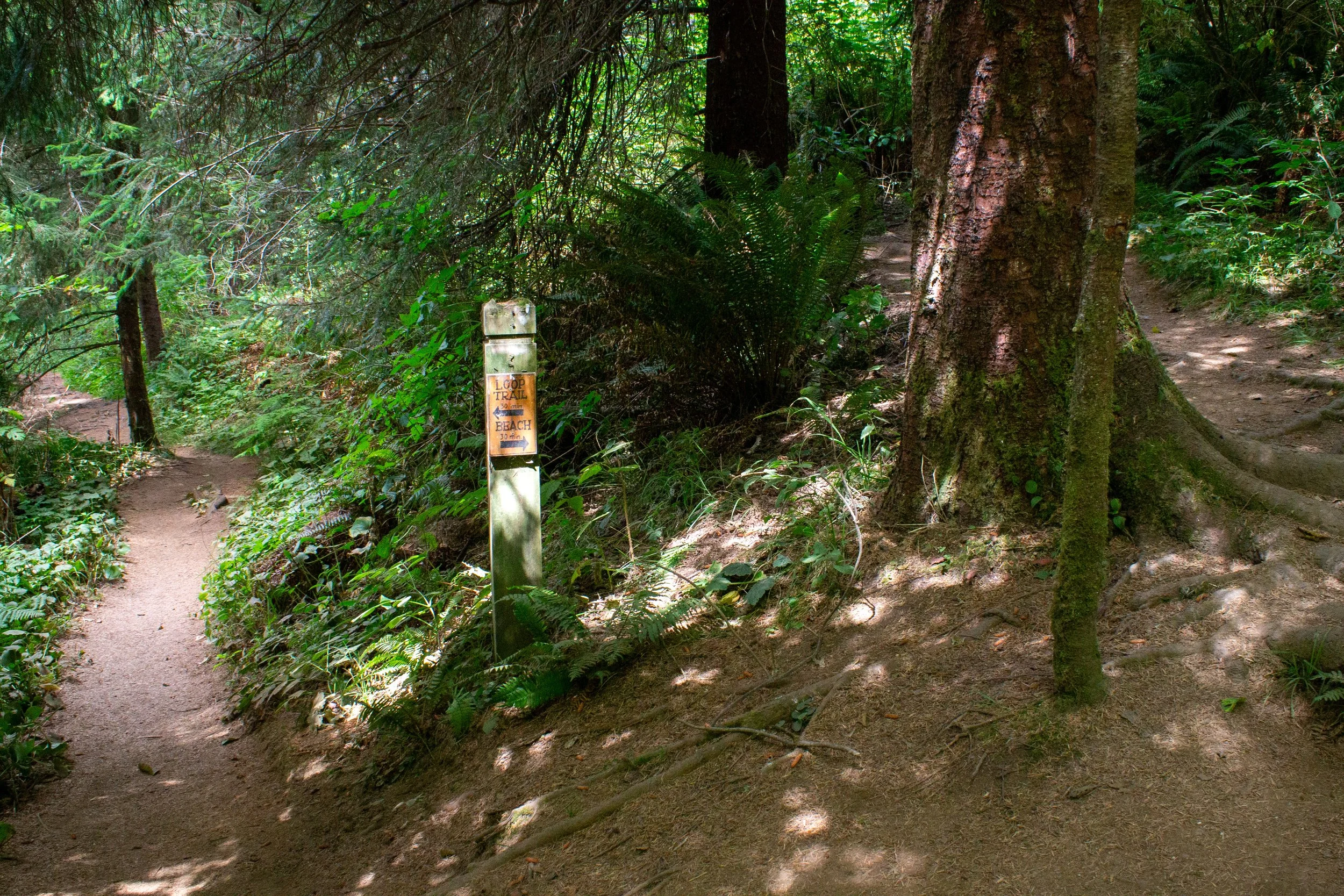 Detailed directions to Secret Beach, Oregon — Pines and Vines