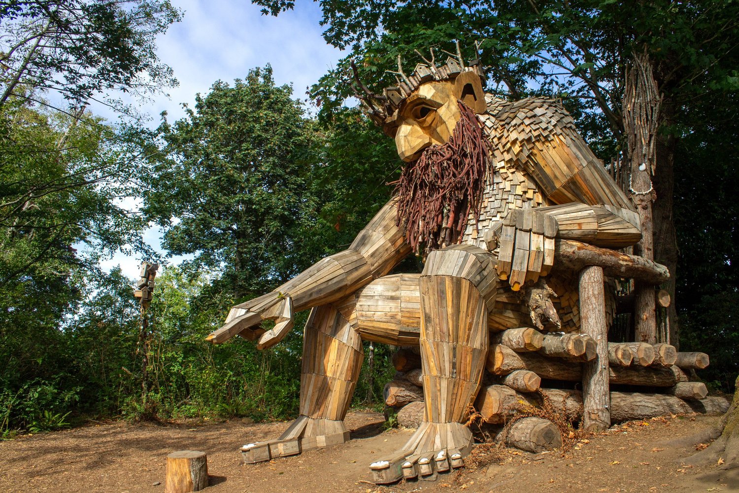 Quick Guide to Pacific Northwest Trolls — Pines and Vines
