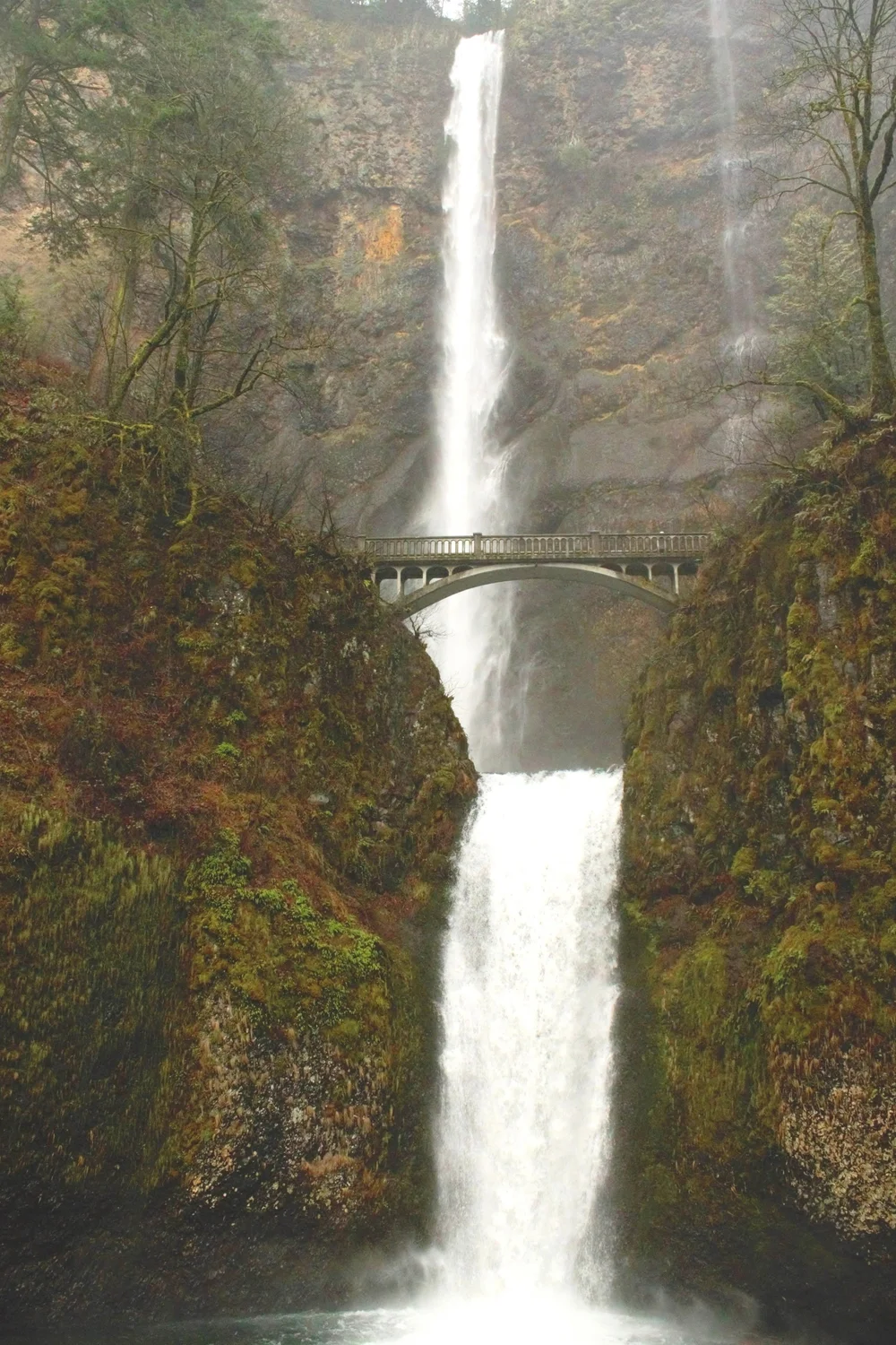 Multnomah Falls - Wahkeena Falls Loop Hike — Pines and Vines — Pines ...