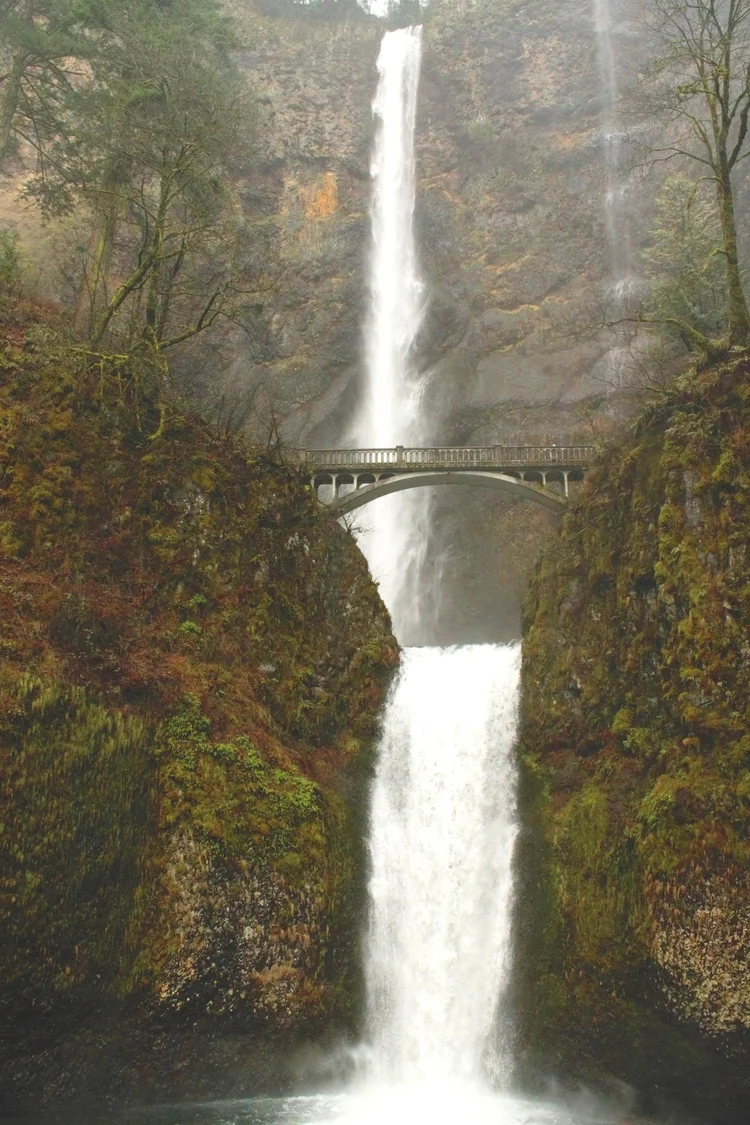 Multnomah Falls - Wahkeena Falls Loop Hike — Pines and Vines — Pines ...