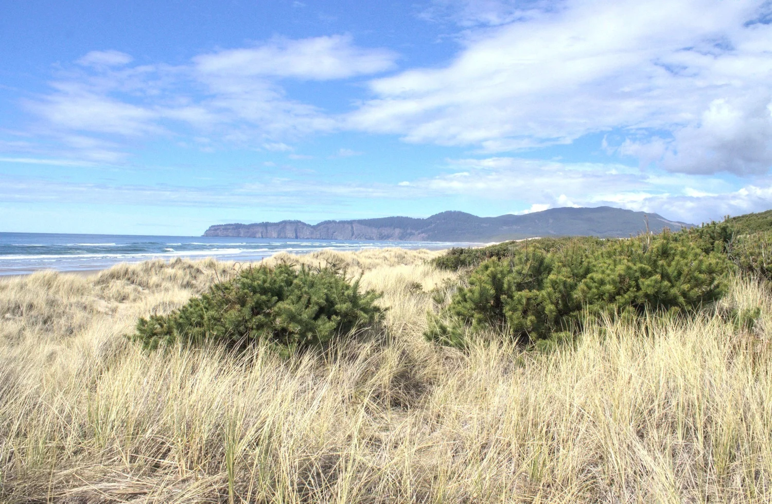 Birds, Trails, and Beaches at Sitka Sedge State Natural Area — Pines ...