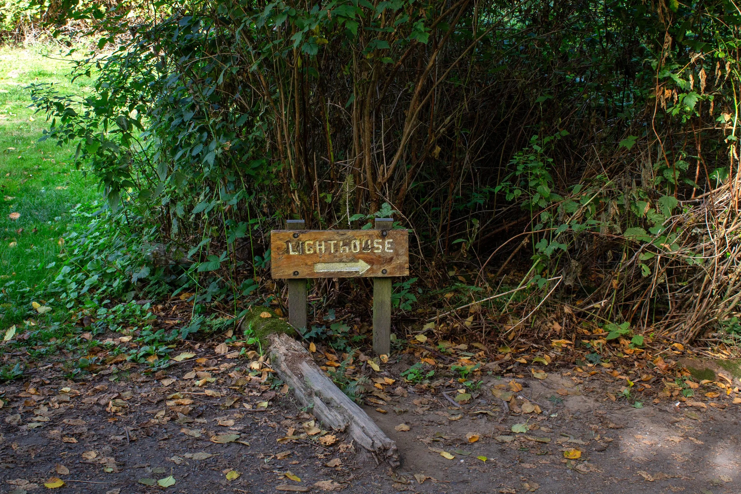 How to See Vashon Island’s Giant Troll — Pines and Vines