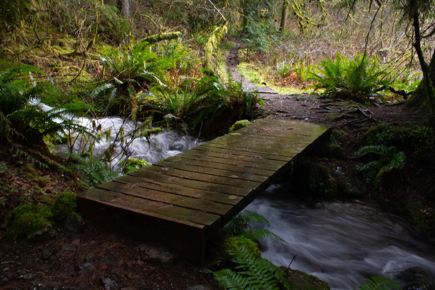 Hike to Falls View Canyon — Pines and Vines