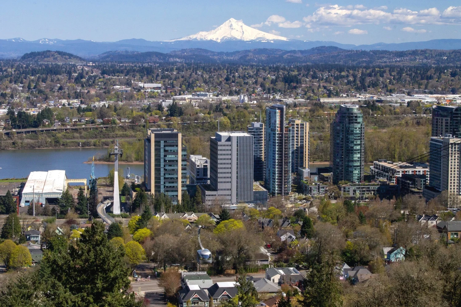 Portland’s 4T Trail, Step by Step — Pines and Vines