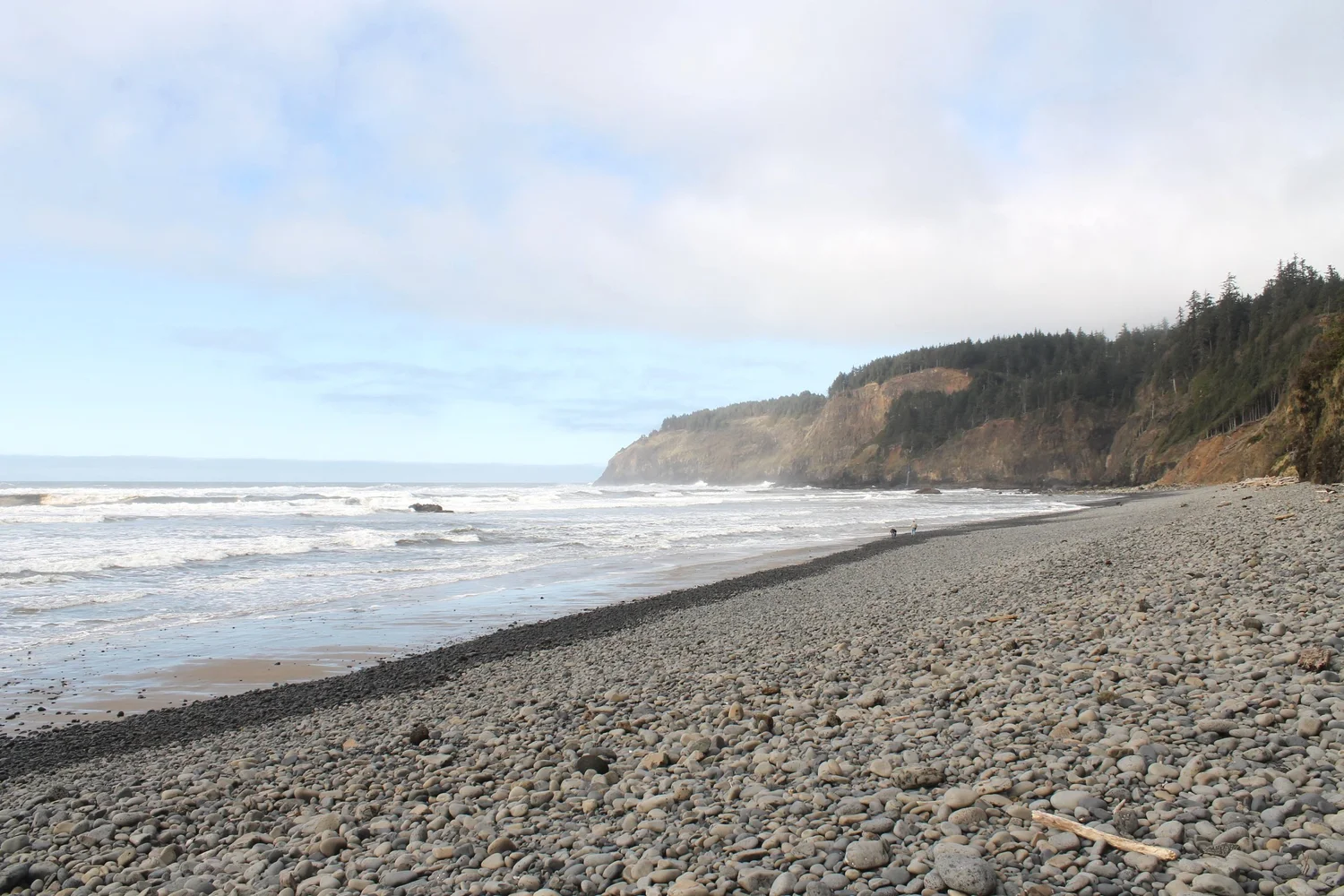 A Day at the Oregon Coast — Pines and Vines