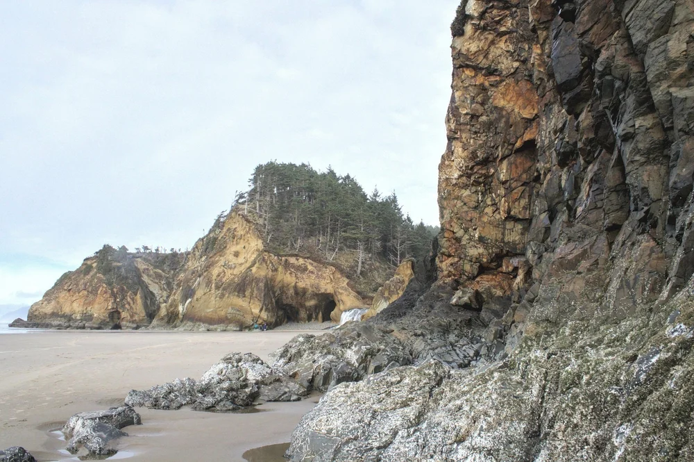 How to Hike around Hug Point at the Oregon Coast — Pines and Vines