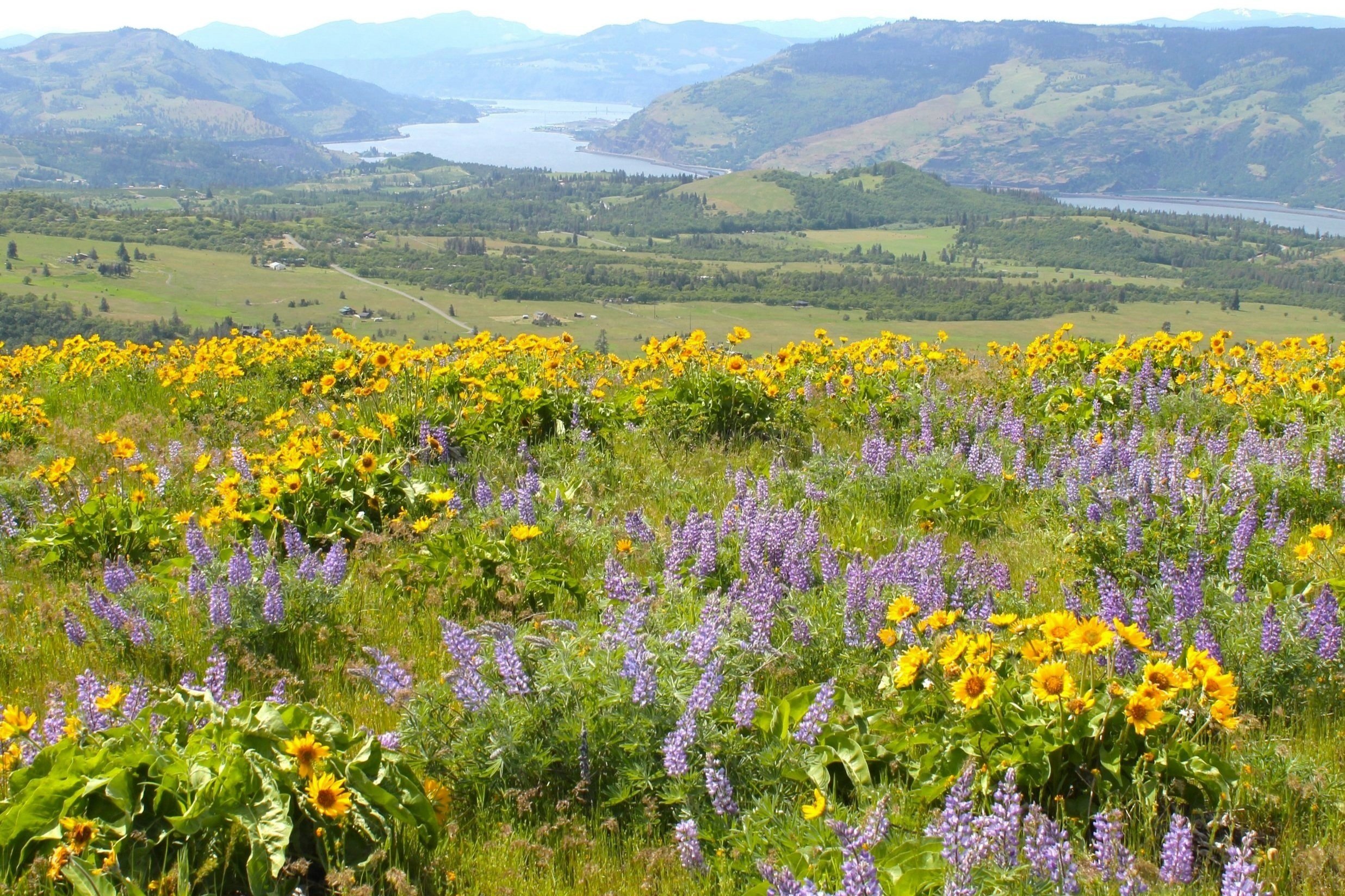 10 Great Spring Hikes near Portland — Pines and Vines