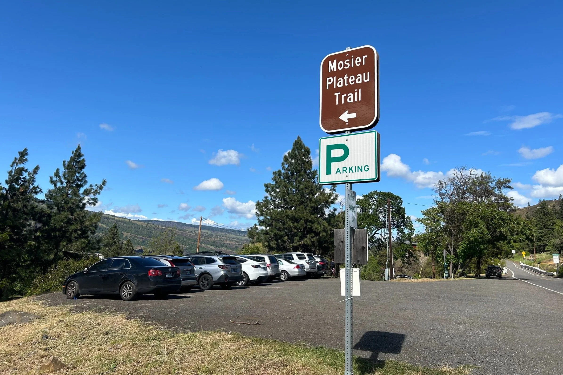 The Glorious Wildflowers of the Mosier Plateau — Pines and Vines
