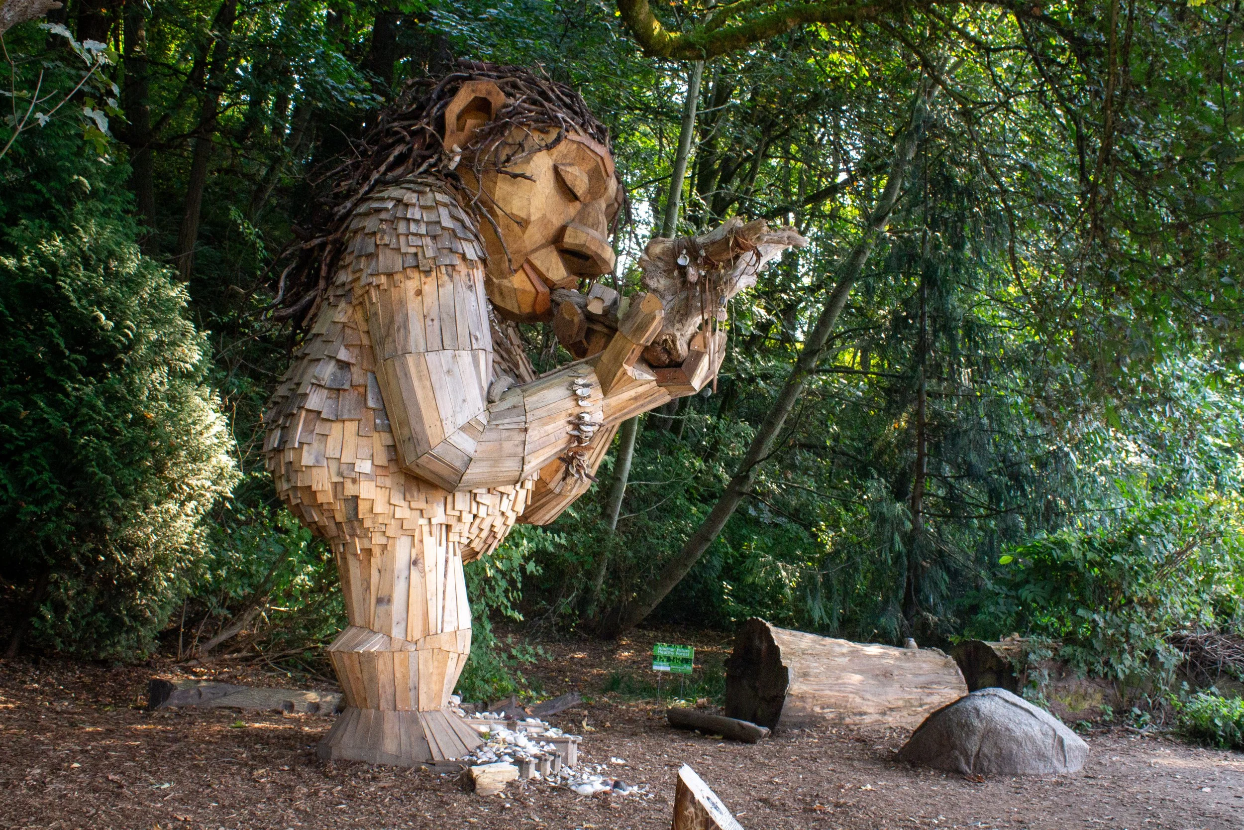 Quick Guide to Pacific Northwest Trolls — Pines and Vines