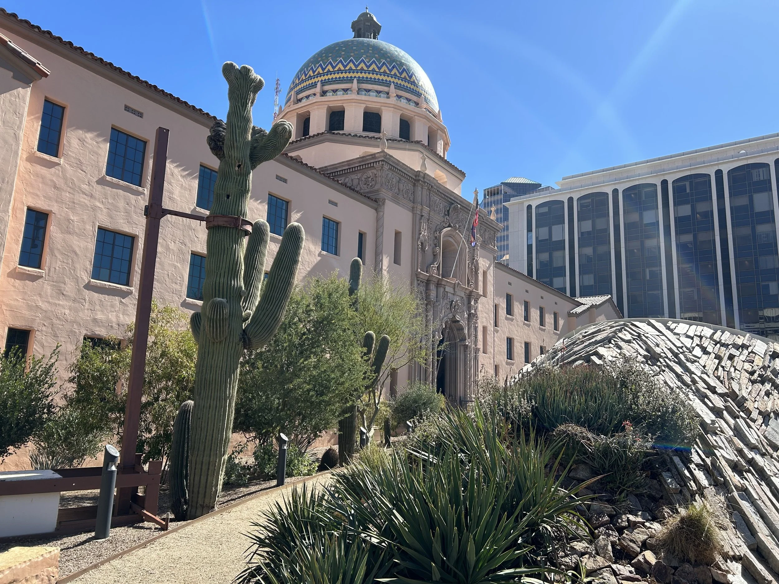 Quick Guide to Visiting Tucson, AZ, in the Winter — Pines and Vines