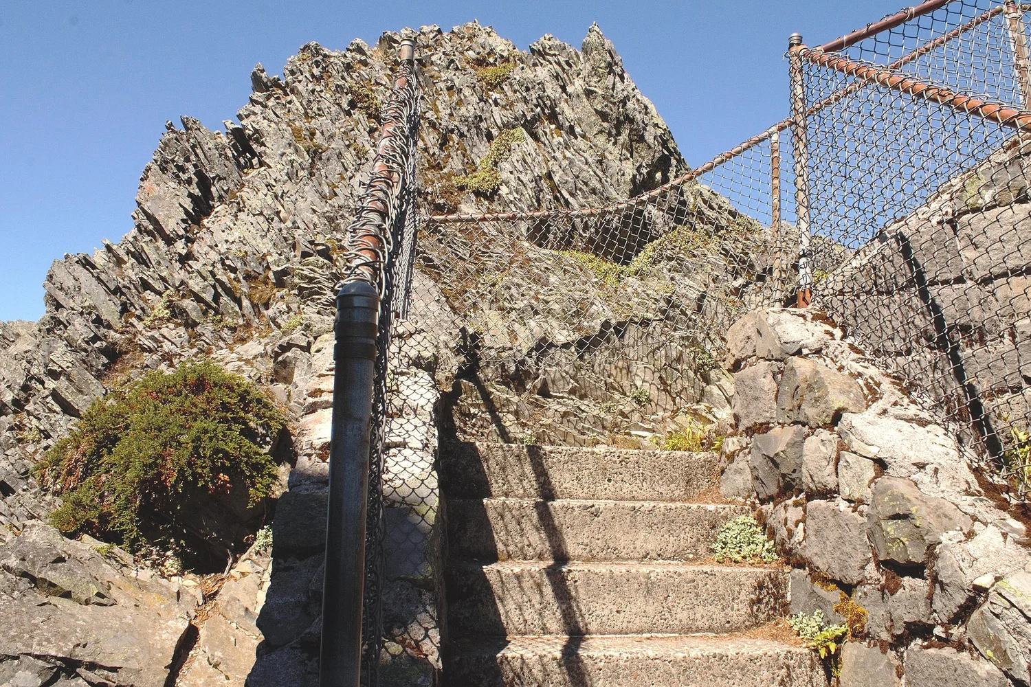 Larch Mountain’s Incredible Sherrard Point — Pines and Vines — Pines ...