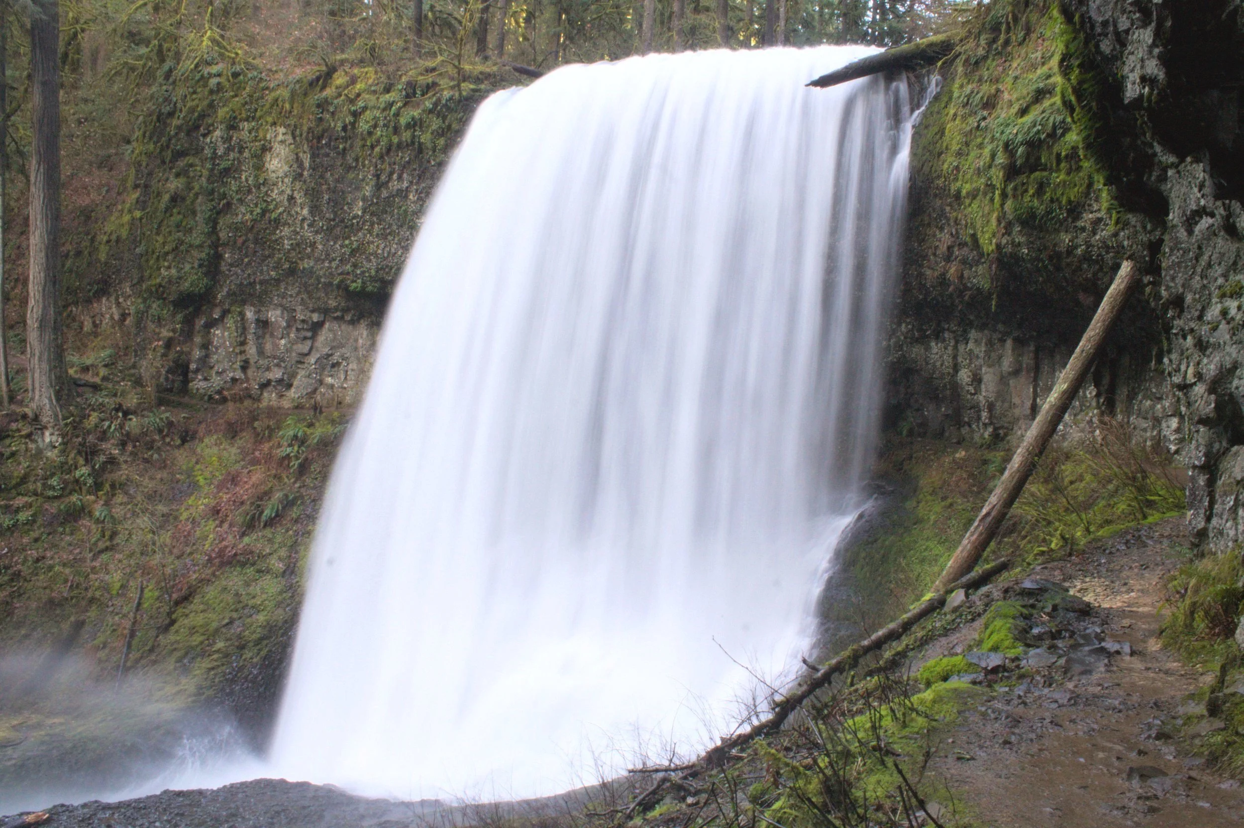 7 Incredible Waterfall Hikes at Silver Falls State Park — Pines and Vines