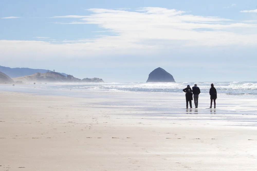 Sitka Sedge State Natural Area Hiking Guide — Pines and Vines