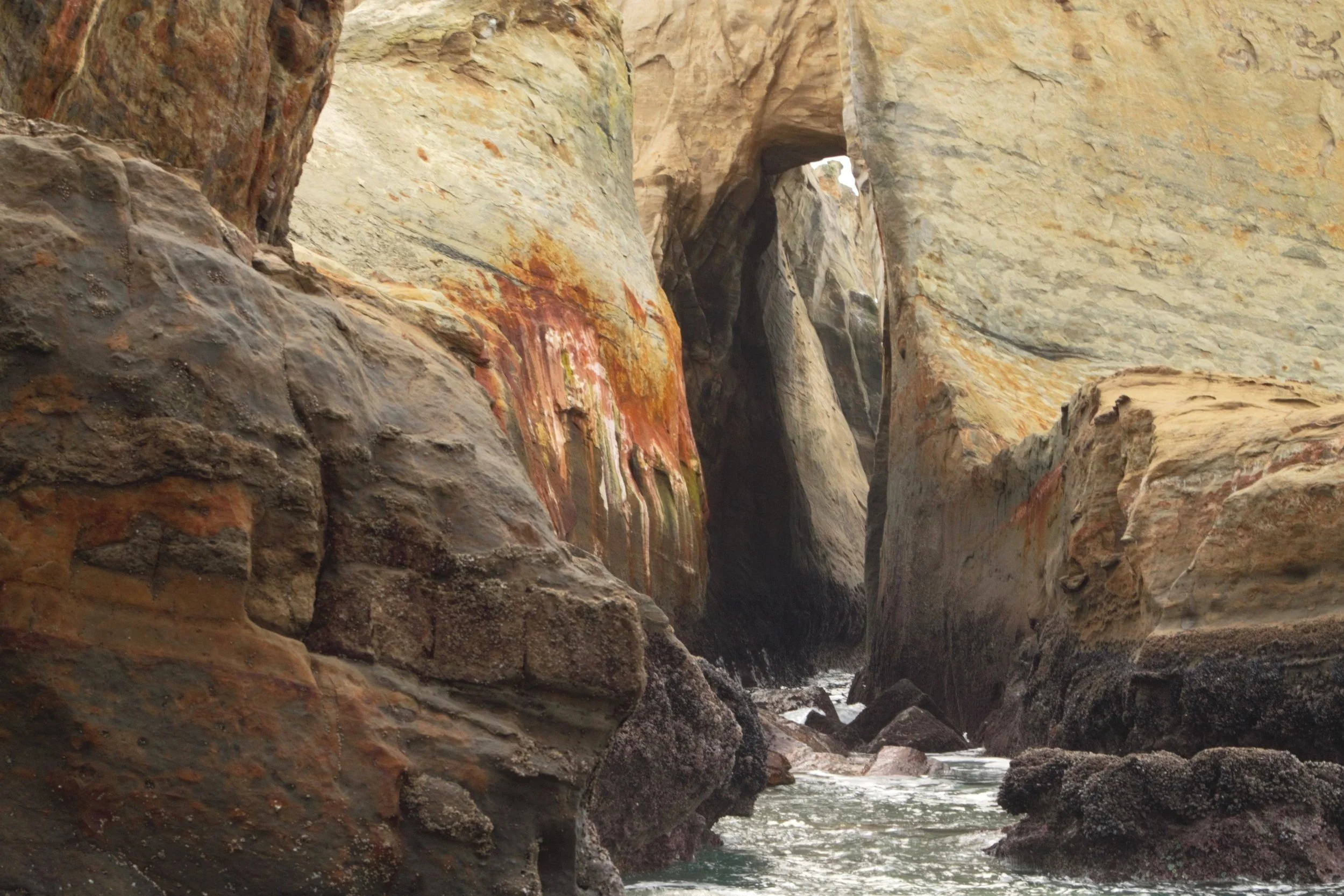 The Amazing Rocks of McPhillips Beach — Pines and Vines — Pines and Vines