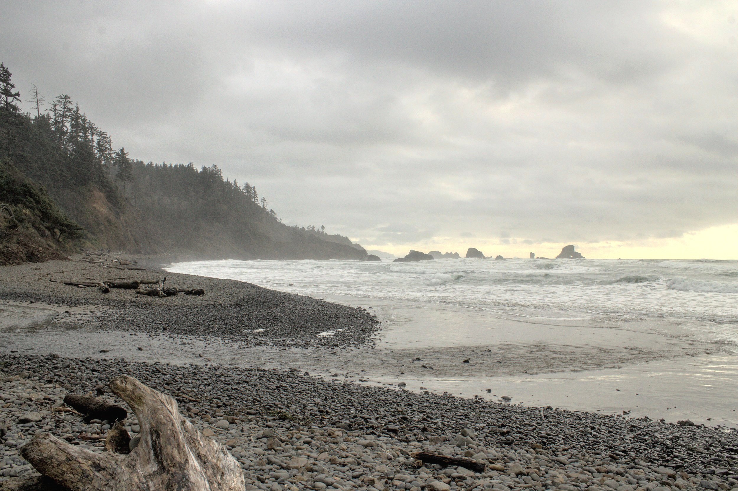 Ecola State Park and the Clatsop Loop Trail — Pines and Vines — Pines ...