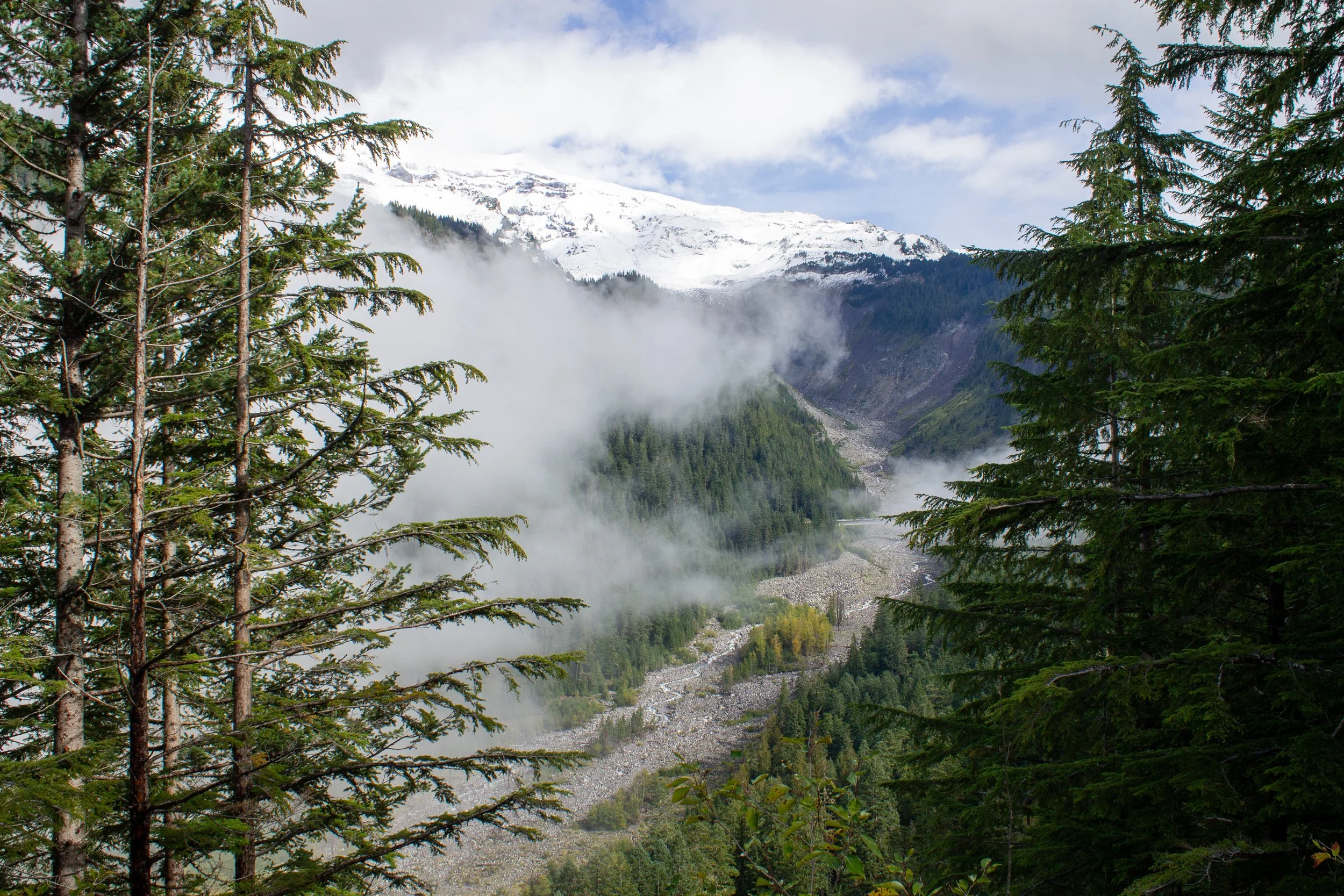 15 Fun and Easy Things to Do at Mt Rainier National Park — Pines and Vines
