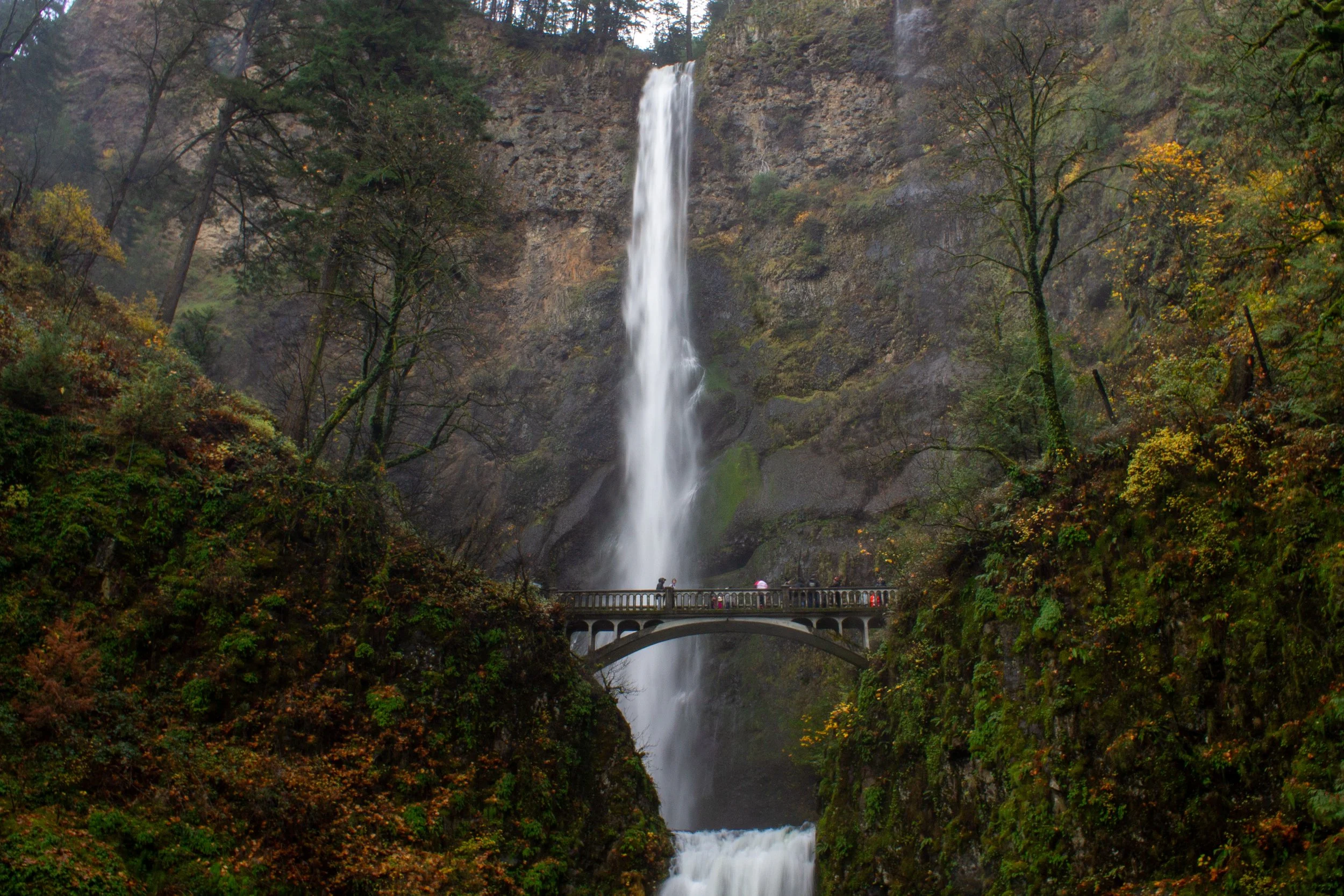 10 Fun Solo Activities in Portland — Pines and Vines