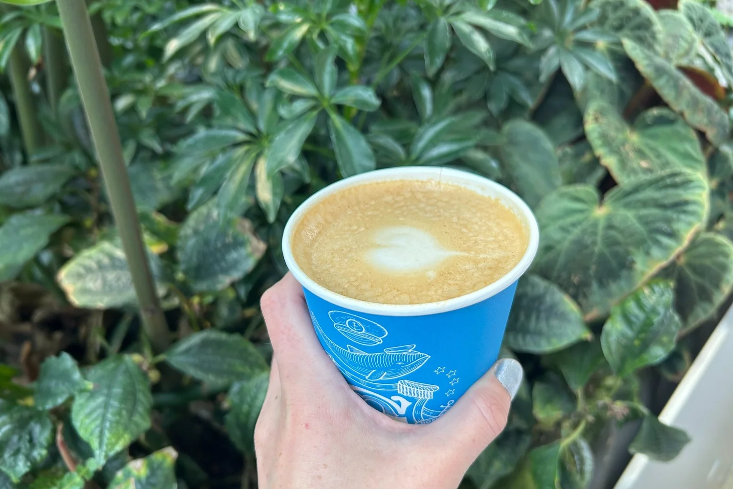 Quick Guide to the Seattle Spheres — Pines and Vines