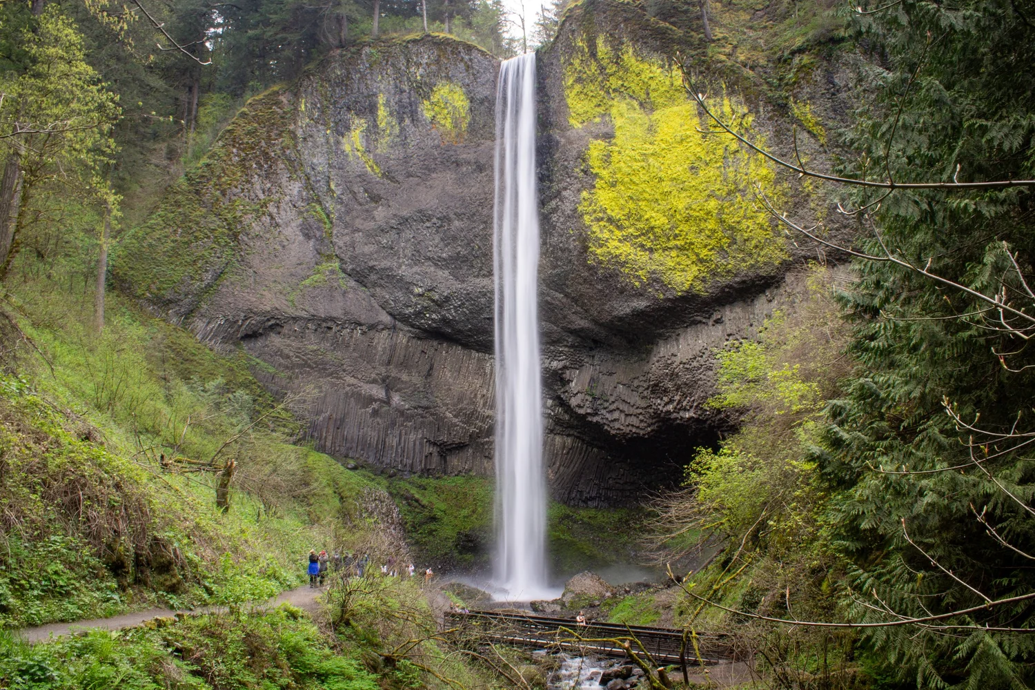 Multnomah Falls Permit System in 2026 — Pines and Vines