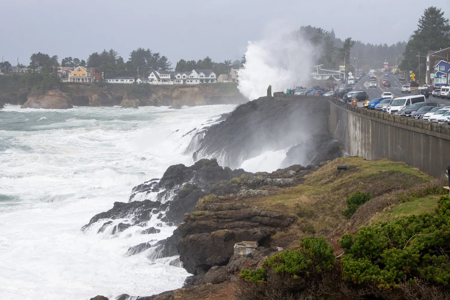 How to Watch Oregon’s King Tides in 2025-2026 — Pines and Vines