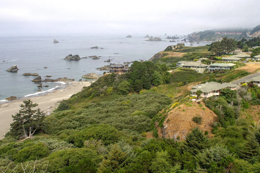 Quick Guide to Harris Beach State Park — Pines and Vines