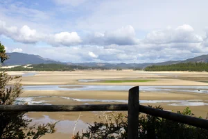 Sitka Sedge State Natural Area Hiking Guide — Pines and Vines