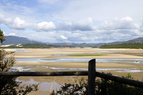 Sitka Sedge State Natural Area Hiking Guide — Pines and Vines