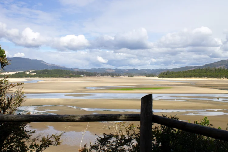 Sitka Sedge State Natural Area Hiking Guide — Pines and Vines