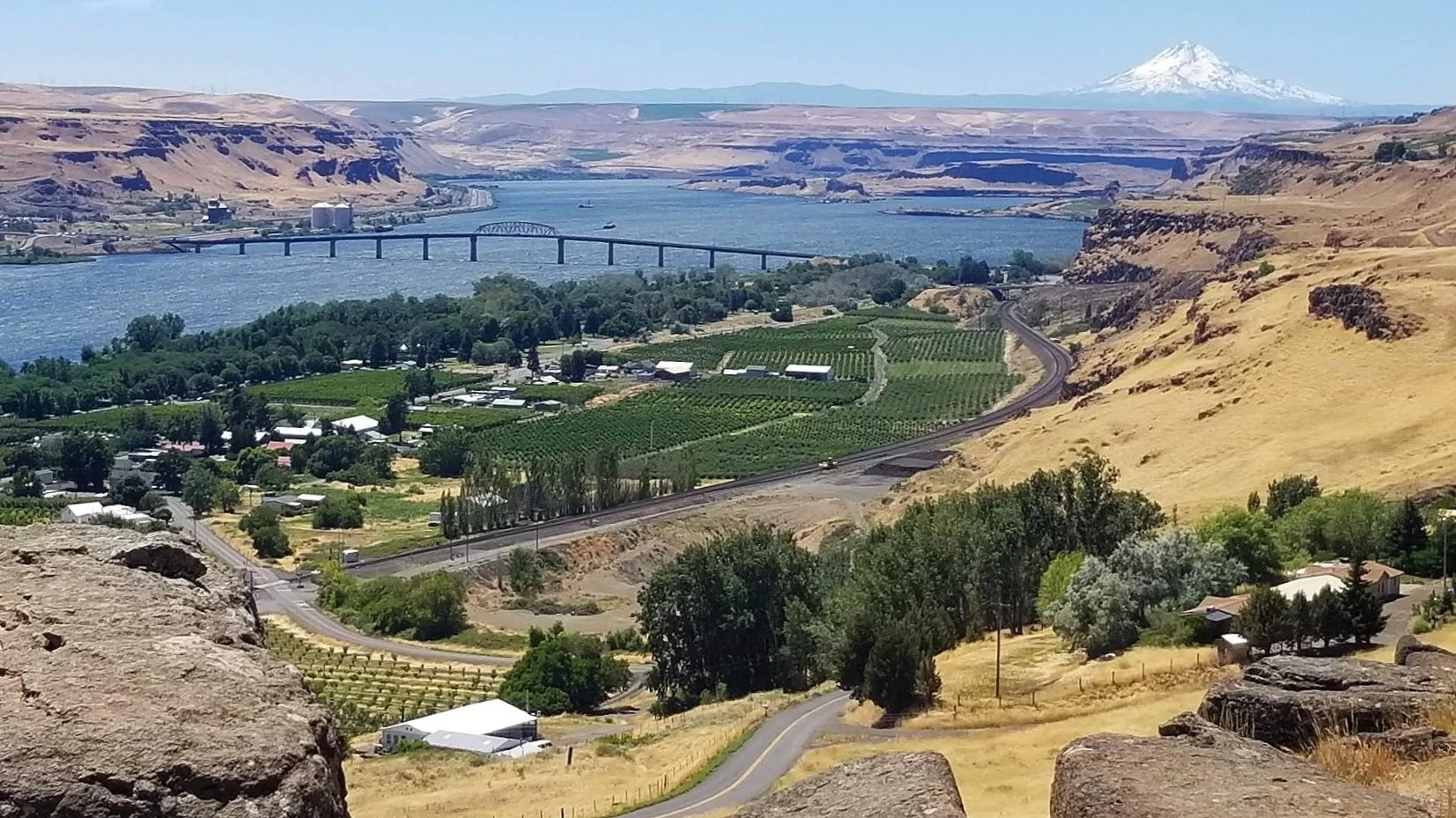 A Day in Maryhill, WA — Pines and Vines