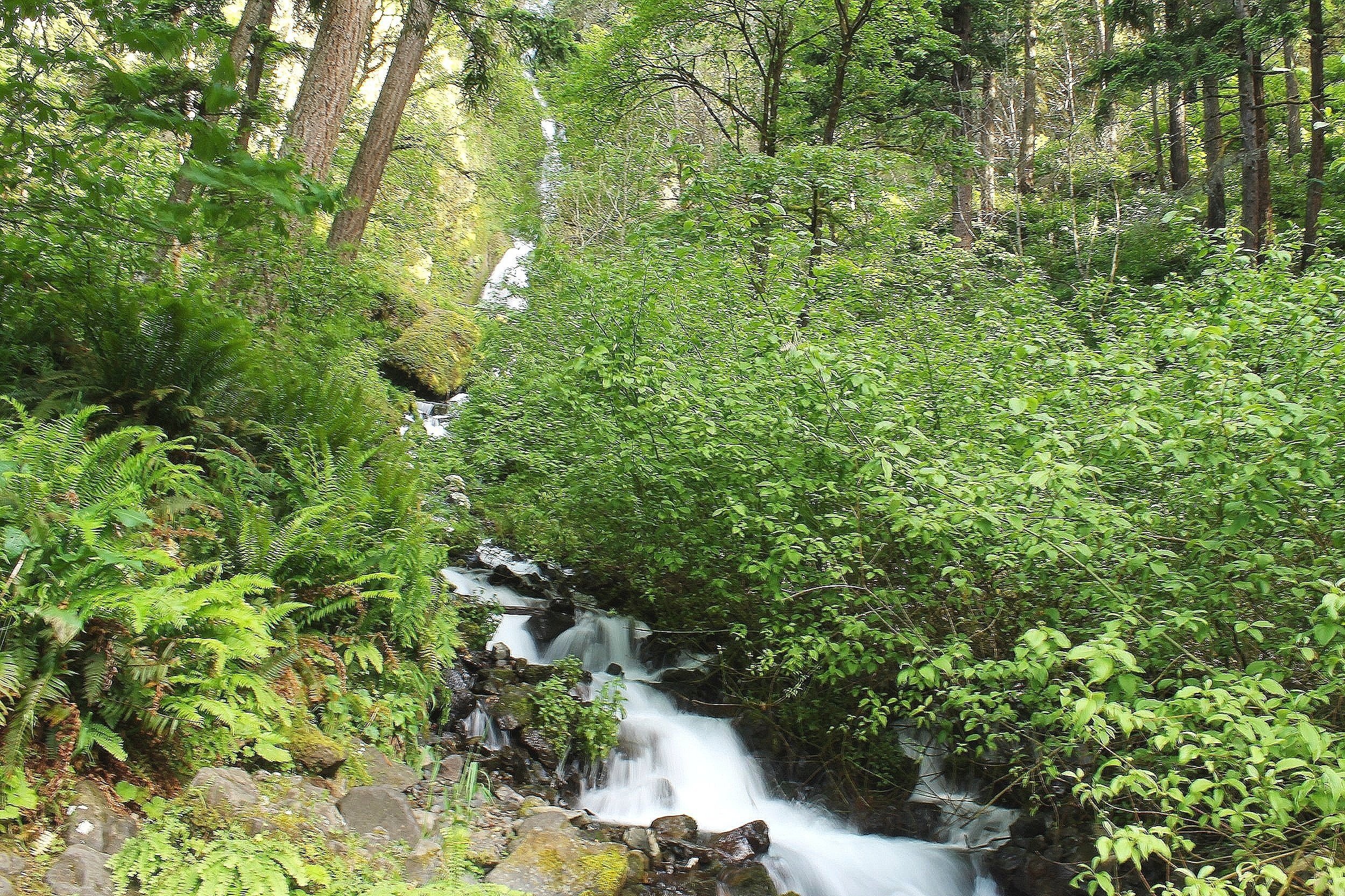 How to Use the Multnomah Falls Timed Entry Permit System in 2023 ...